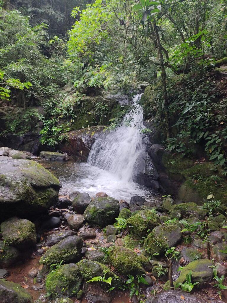 O que fazer em Cachoeiras de Macacu? Veja 9 dicas de roteiros!